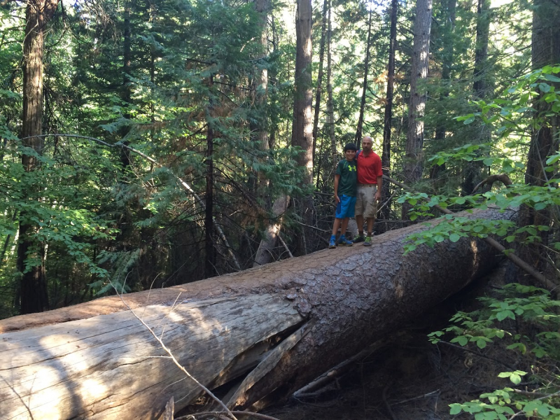 Downed trees across trails you can ride over. | Page 3 | mtbNJ.com
