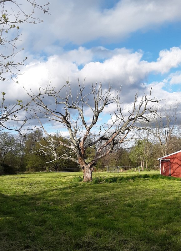 The Social Distancing in Isolation Contest & Never-ending Peter Pan ...